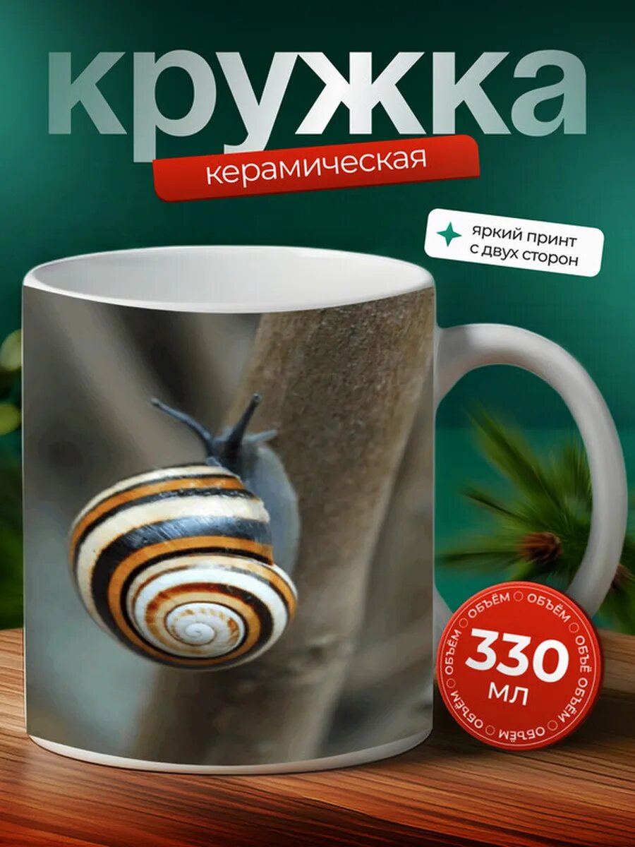 Кружка Улитка домашняя 27,