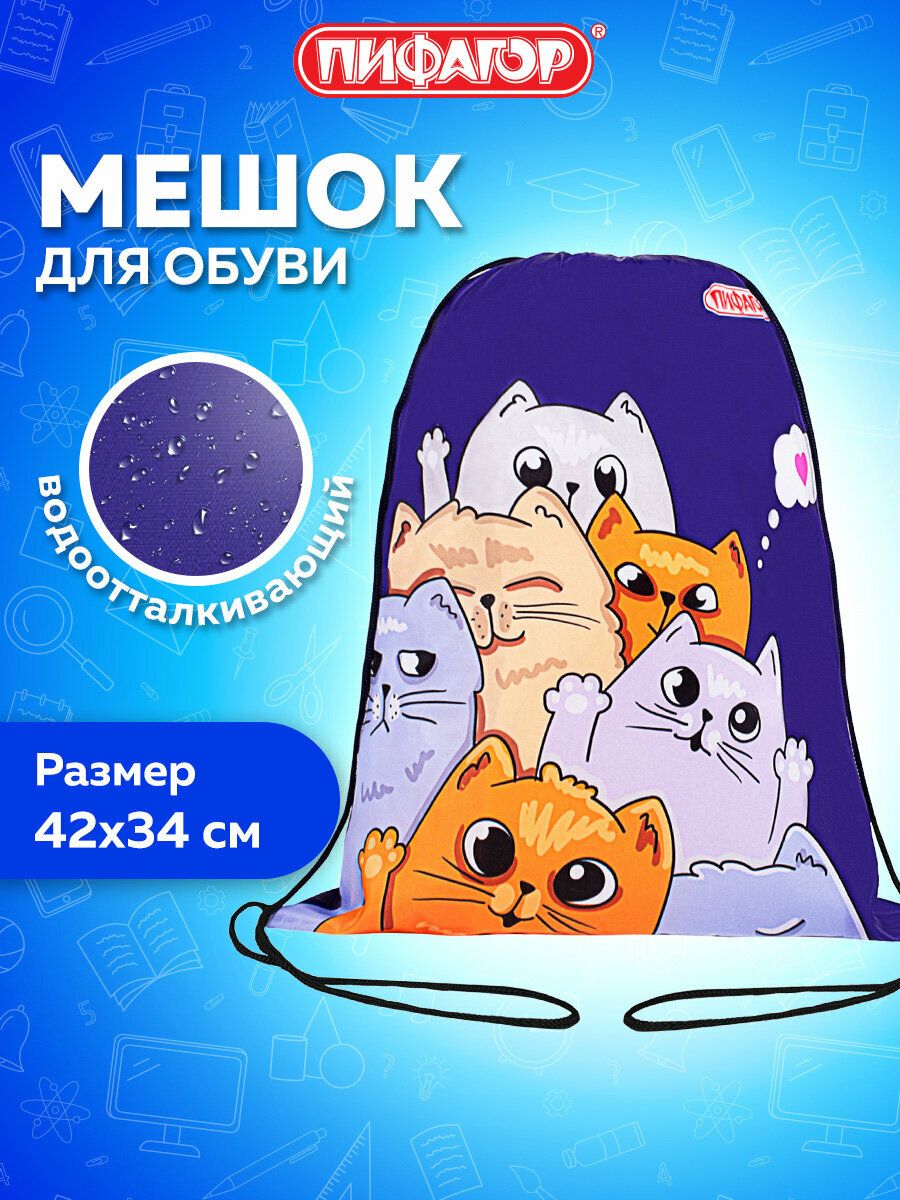 Мешок для обуви Пифагор, 1 отделение, 42х34 см, Cats greetings