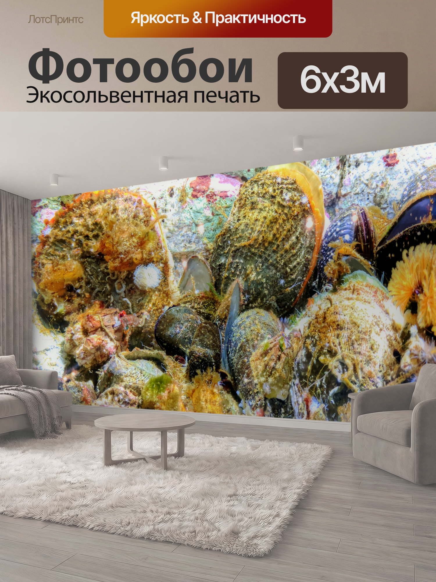 Фотообои "Моллюски художественное прикосновение к морским моллюскам в аквариуме моллюск моллюски аквариум двустворчатые моллюски морская жизнь океан море" 600x300 см. экосольвентная печать