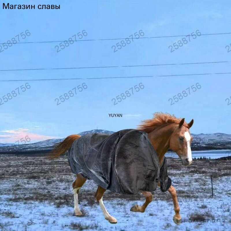 Попона для лошади — фото 1