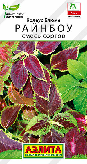 Семена колеуса Аэлита "Райнбоу", декоративно-лиственный, 5 шт