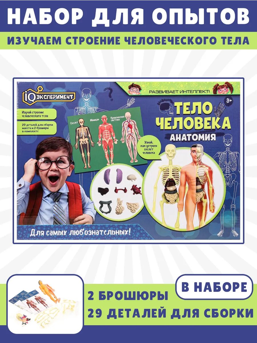 IQ Эксперимент Набор для опытов "Тело человека. Анатомия"