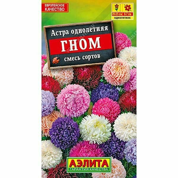 Семена Астра Гном смесь - низкорослая , обильное цветение . Аэлита