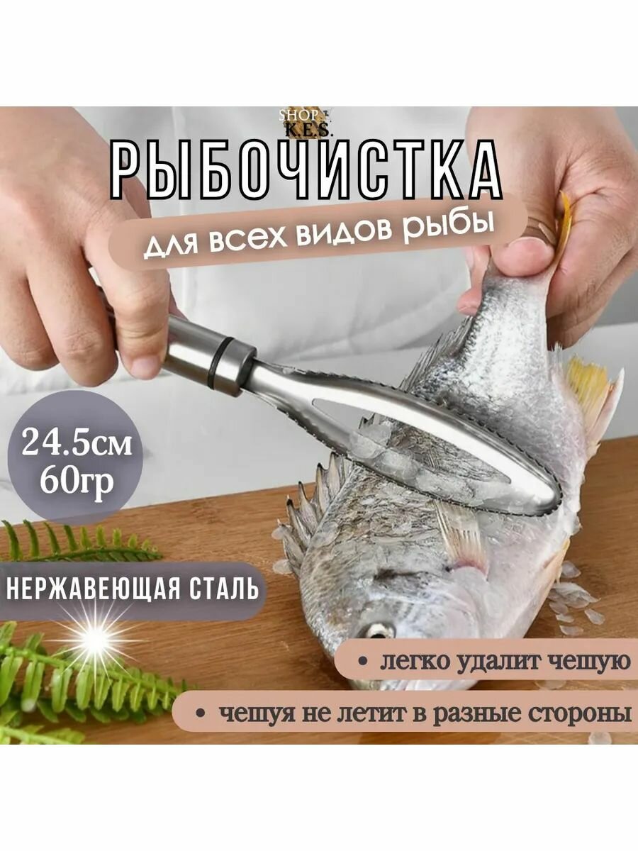 Рыбочистка "Нержавеющая сталь", для рыбы, нержавеющая сталь, 1 шт