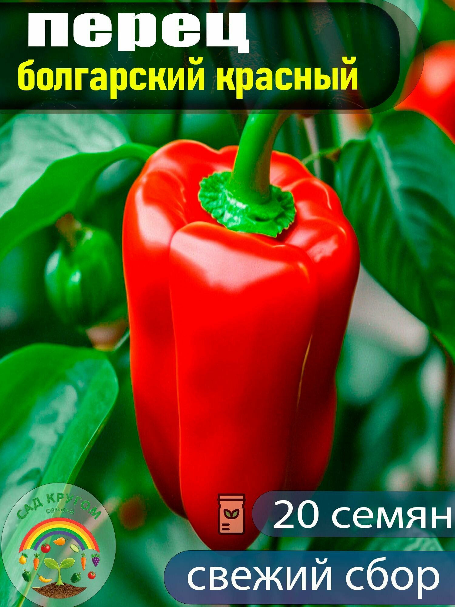 Красный болгарский перец семена - 20 шт