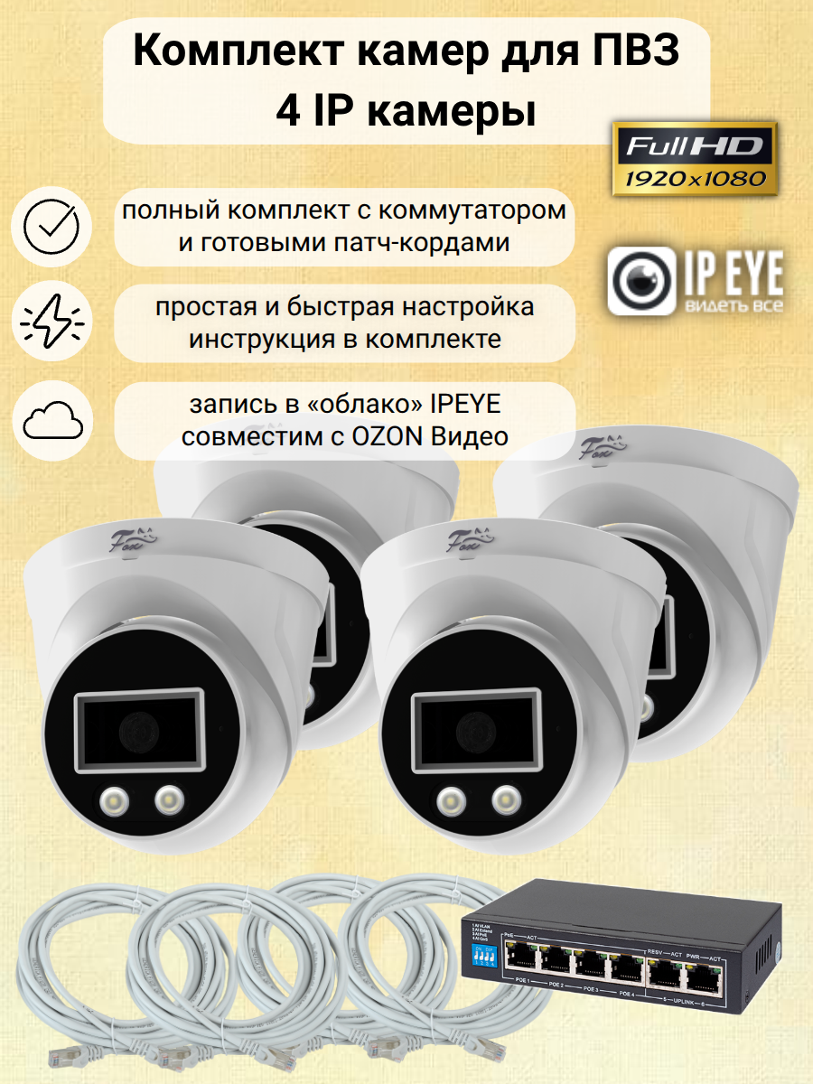 Комплект из 4 камер видеонаблюдения для ПВЗ с облаком IPEYE / 2 Мп / микрофон / PoE