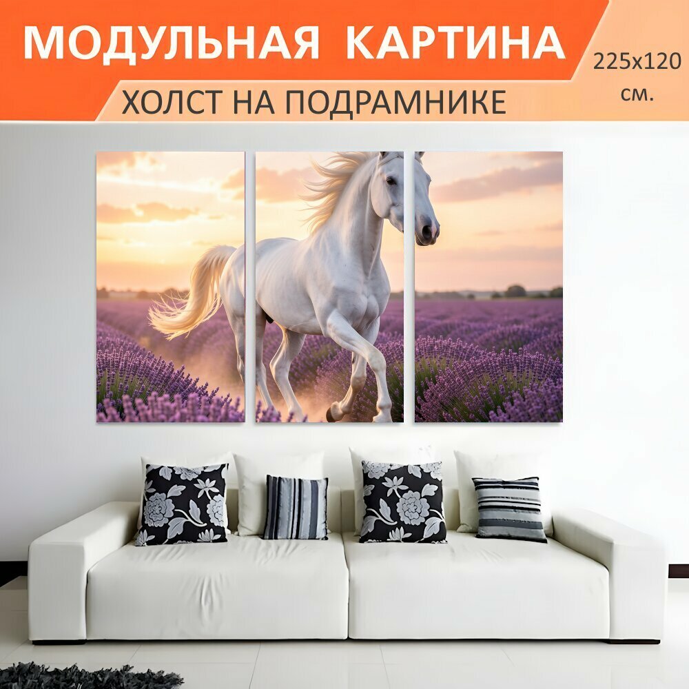 Модульная картина на холсте "Белая лошадь в лавандовом поле. Изящный скакун на фоне фиолетовых цветущих рядов, мягкий закатный свет." триптих на подрамнике 225х120 см. для интерьера