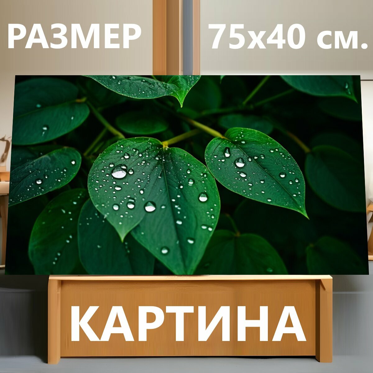 Картина на холсте "Листья темно-зеленого цвета с каплями воды на поверхности, крупный план, натуральный фон, тени и текстуры листьев." на подрамнике 75х40 см. для интерьера