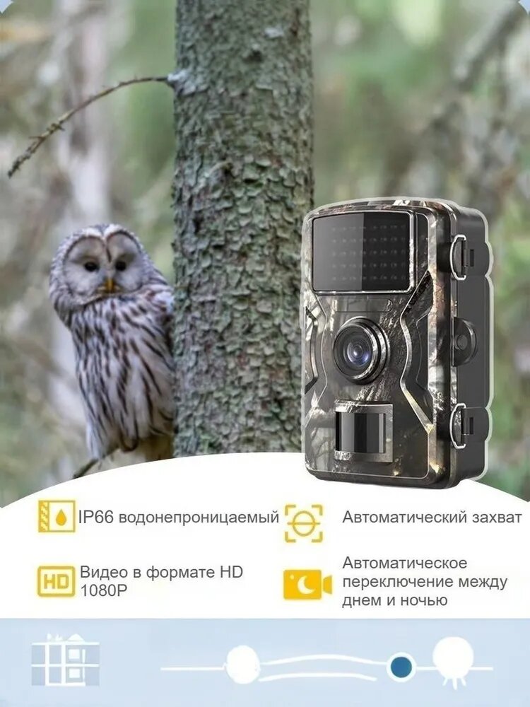 Фотоловушка — фото 1