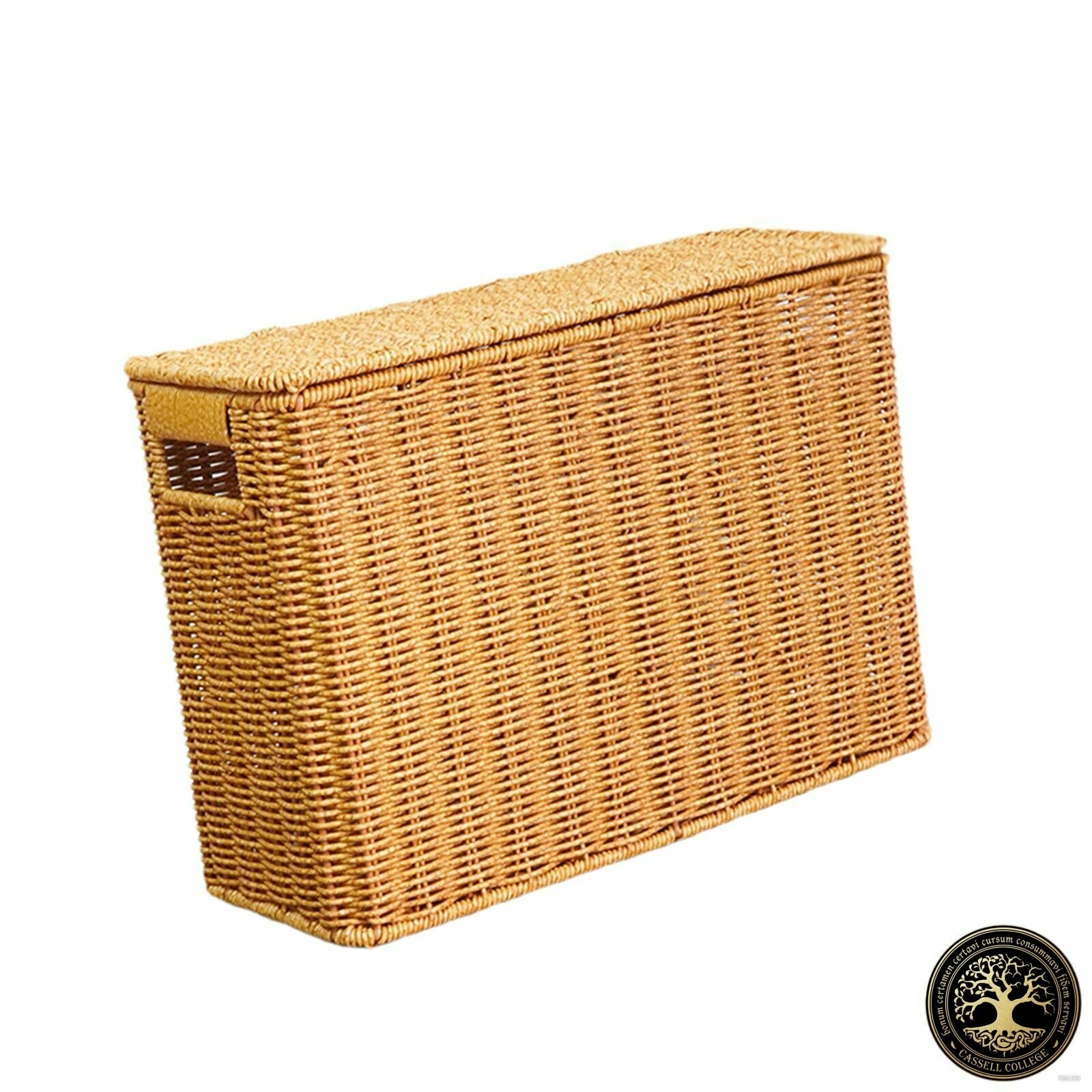 Узкая высокая корзина для хранения из ПП, плетеная, с крышкой, органайзер для гостиной, офиса, дома, 38x15x27 см