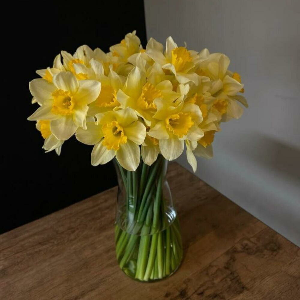 Нарцисы для вазы 49 шт