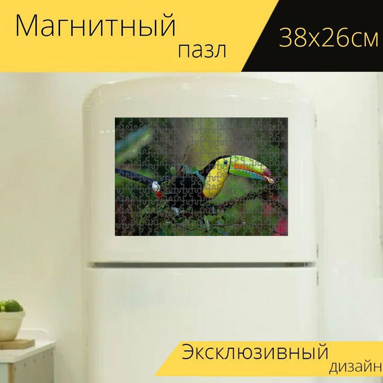 Магнитный пазл "Киль клювый тукан, коста рика, птица" для интерьера, 38х26 см.