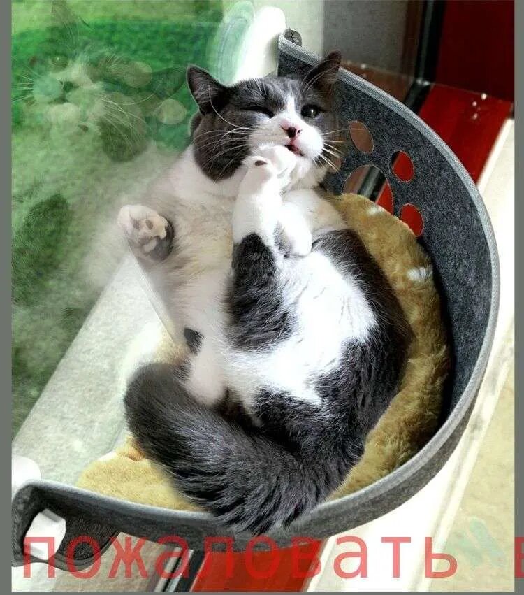 Подвесной гамак лежанка для кошек на окно на присосках, Гамак для животных, для дома, уютный, мягкий, теплый