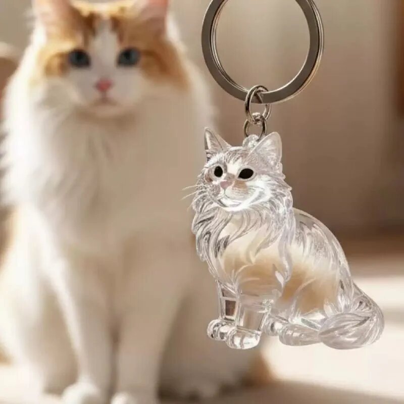 Прозрачная коробка для хранения кошачьей шерсти, сумка-капсула для хранения, брелок для ключей