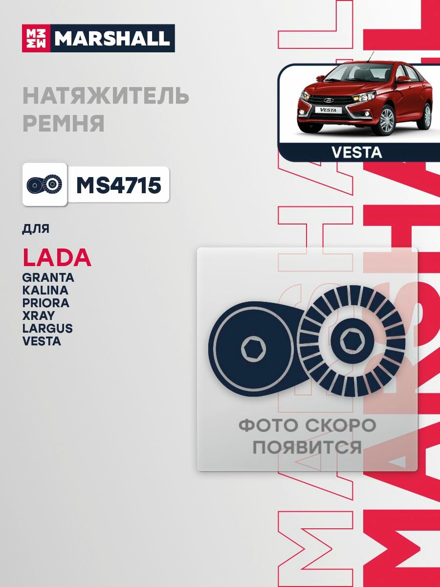 Натяжитель ремня LADA Лада ВАЗ Granta Гранта, Kalina Калина, Largus Ларгус, Priora Приора, Vesta Веста, XRAY Иксрей 8450056636