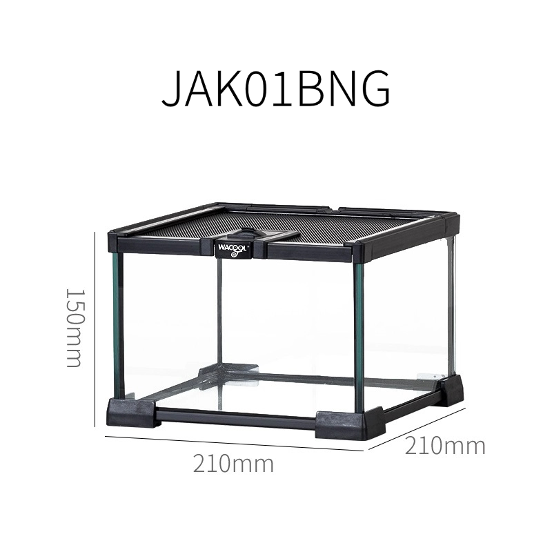 Маленький стеклянный террариум для молодых лягушек и насекомых, размеры 21x21x15 см, подходит для мелких рептилий