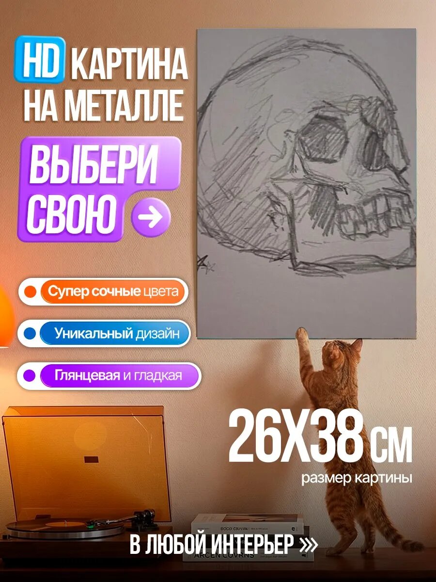 Картина на HD металле Набросок человеческого черепа