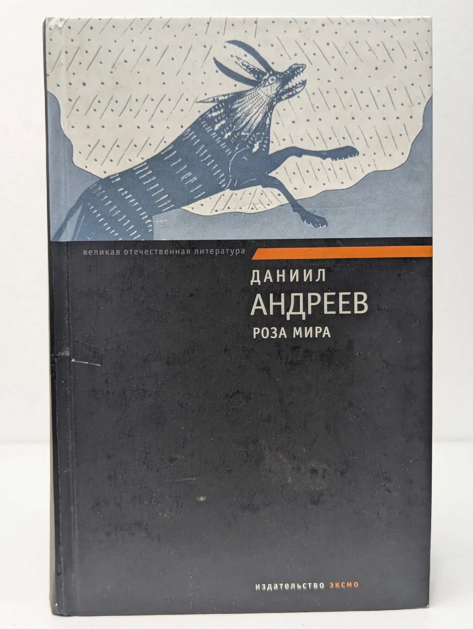 Роза Мира Андреев Даниил 2008
