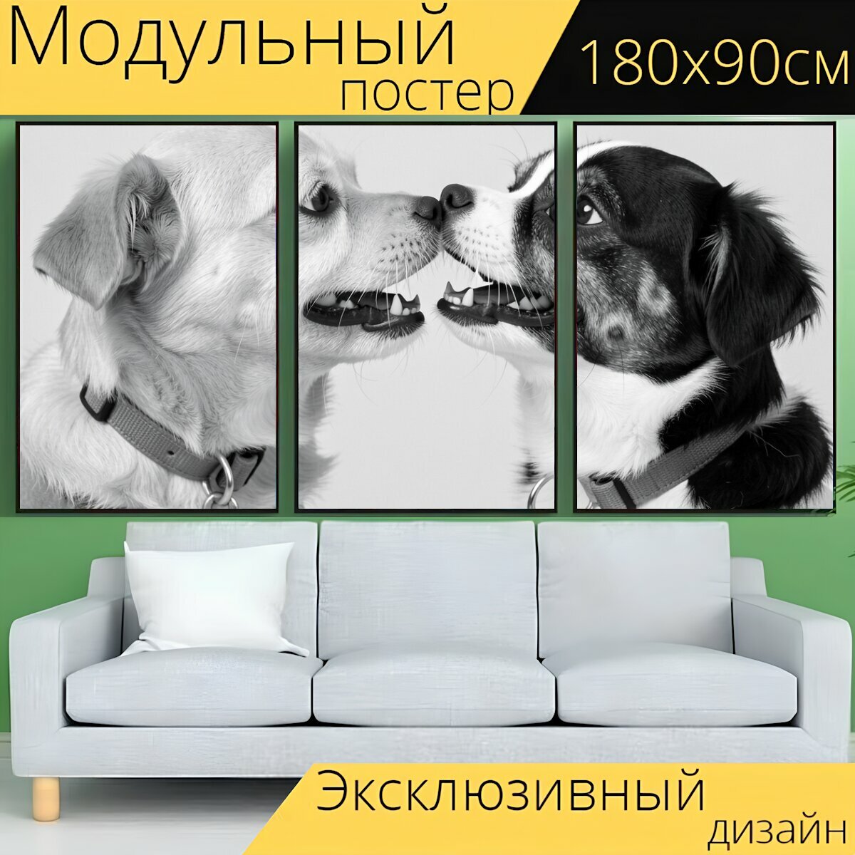 Модульный постер "Два дружелюбных щенка нос к носу. Черно-белая минималистичная сцена с двумя собаками в одежде и ошейниках." 180 x 90 см. для интерьера на стену в тубусе