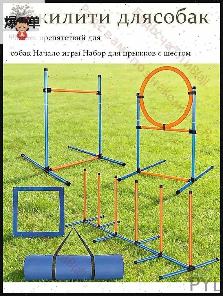 Аджилити для собак , Полоса препятствий для собак, Начало игры, Набор для прыжков с шестом