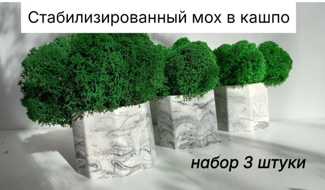 Стабилизированный мох в кашпо для декора интерьера