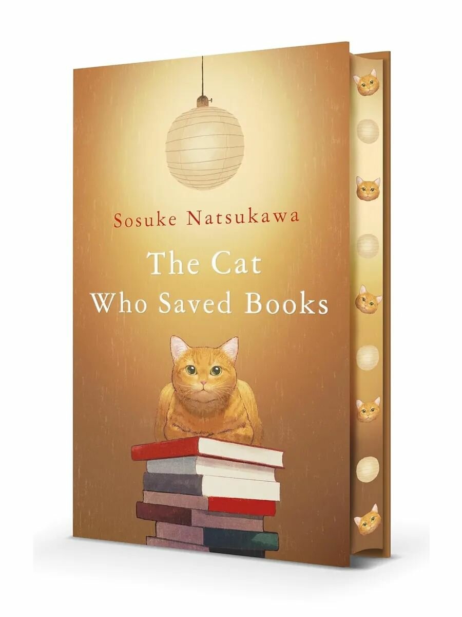 The Cat Who Saved Library Sosuke Natsukawa gift edition