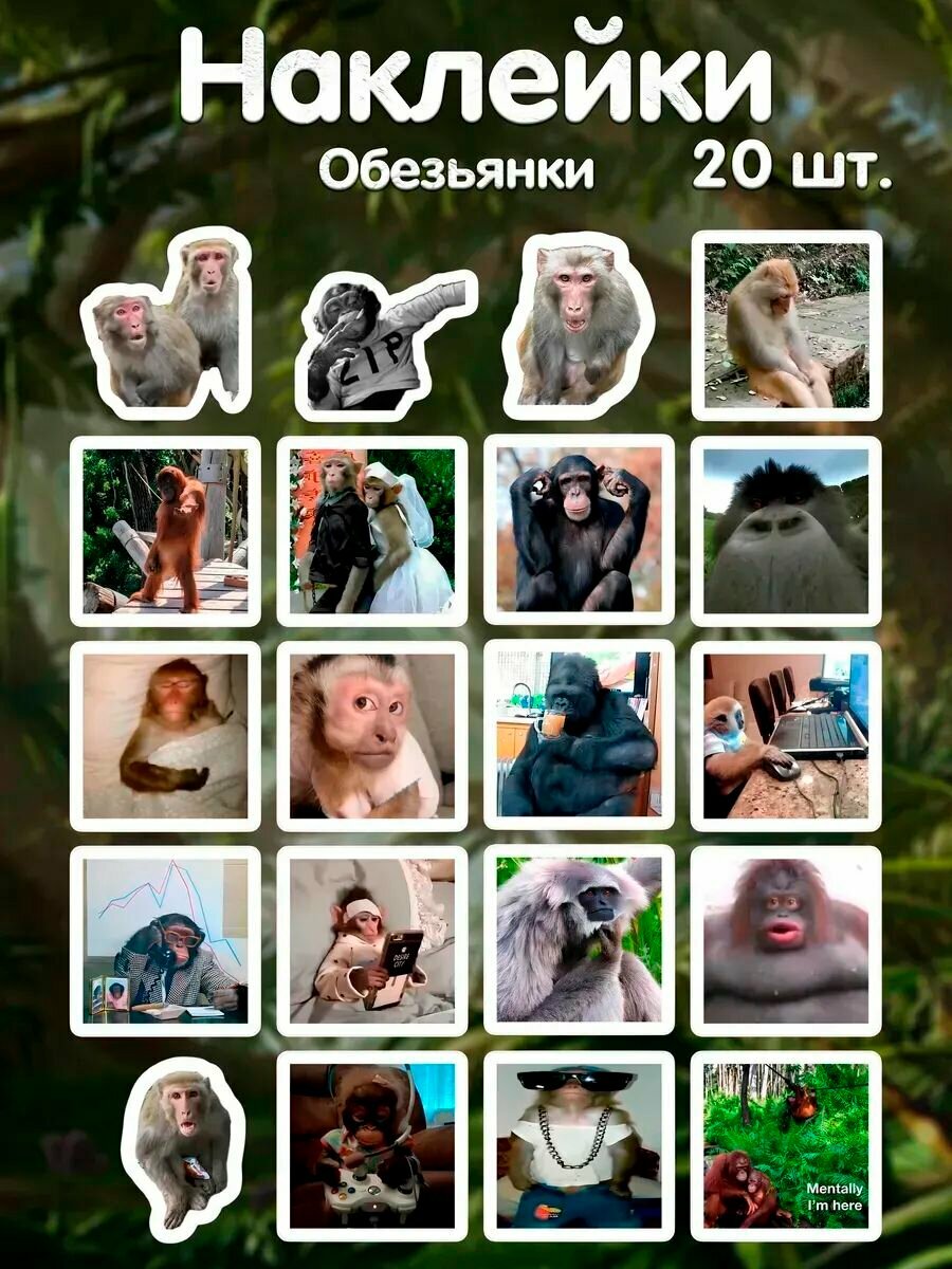 Наклейки Животные