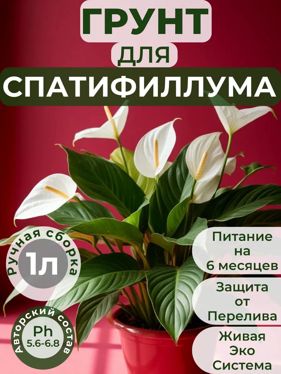 Готовый авторский грунт для Спатифиллума, премиум 1 литр