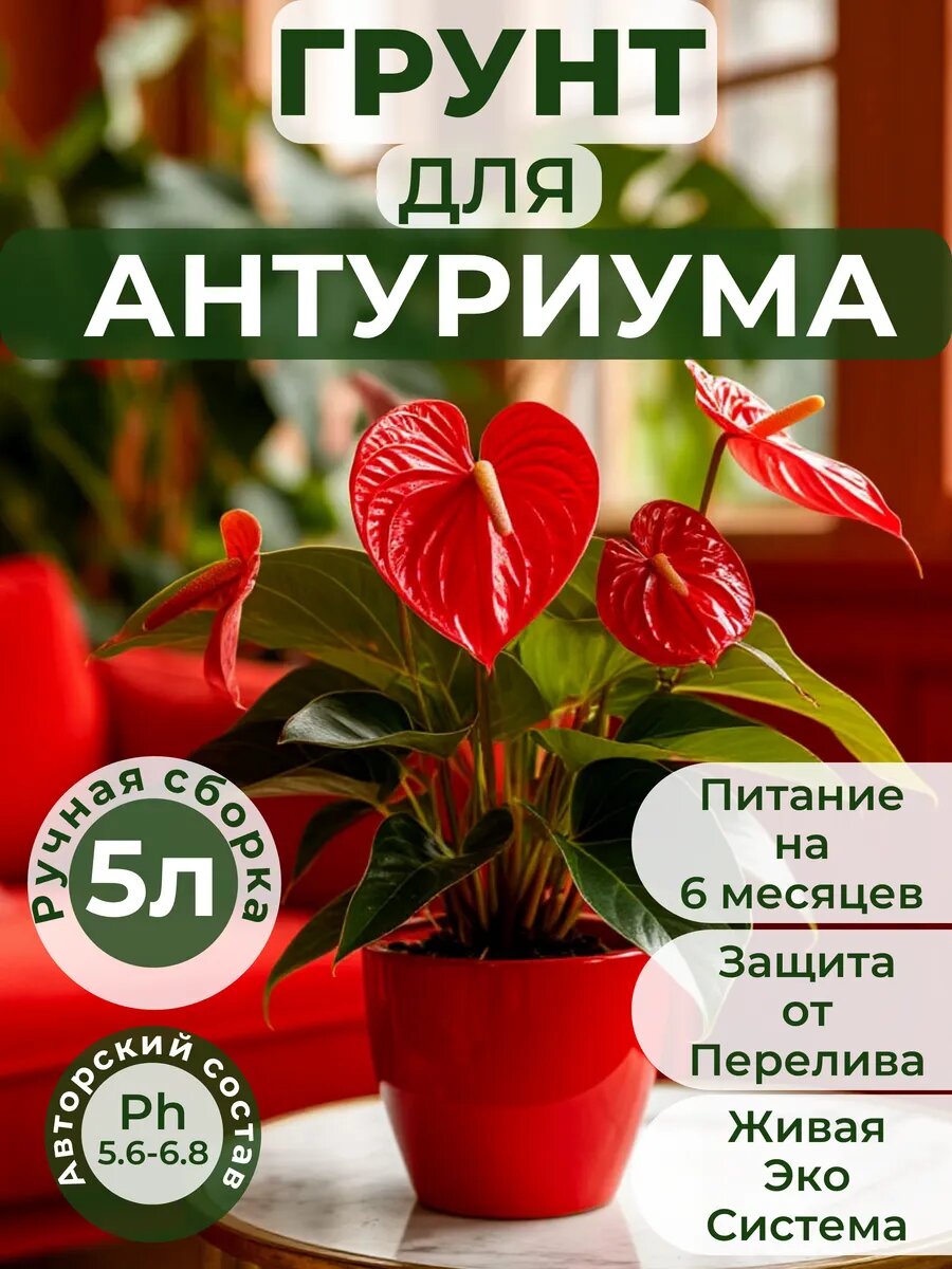 Готовый авторский грунт для Антуриума , премиум 5 литров