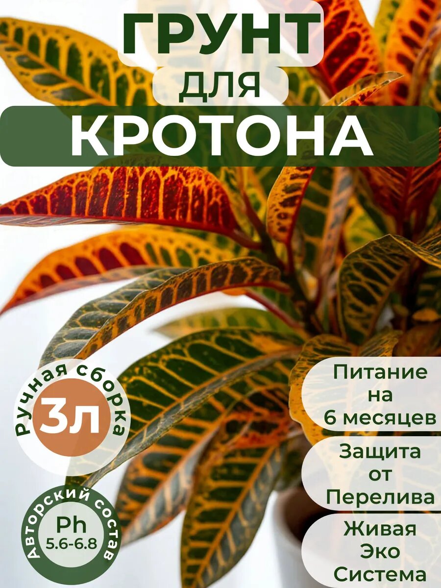 Готовый авторский грунт для Кротона, премиум 3 литра