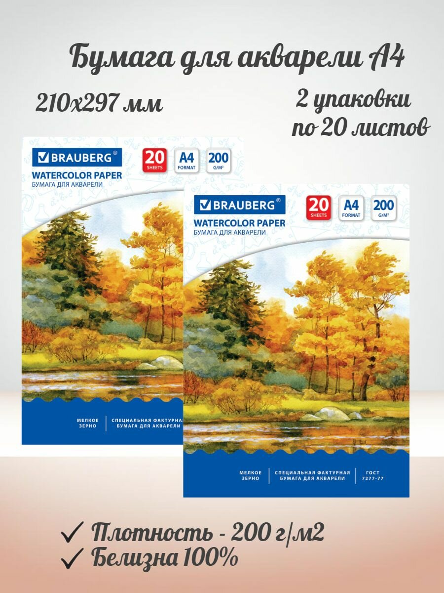 BRAUBERG Бумага для акварели А4, 200 г/м2, 210х297 мм, "Осенний лес" 2 упаковки по 20 листов