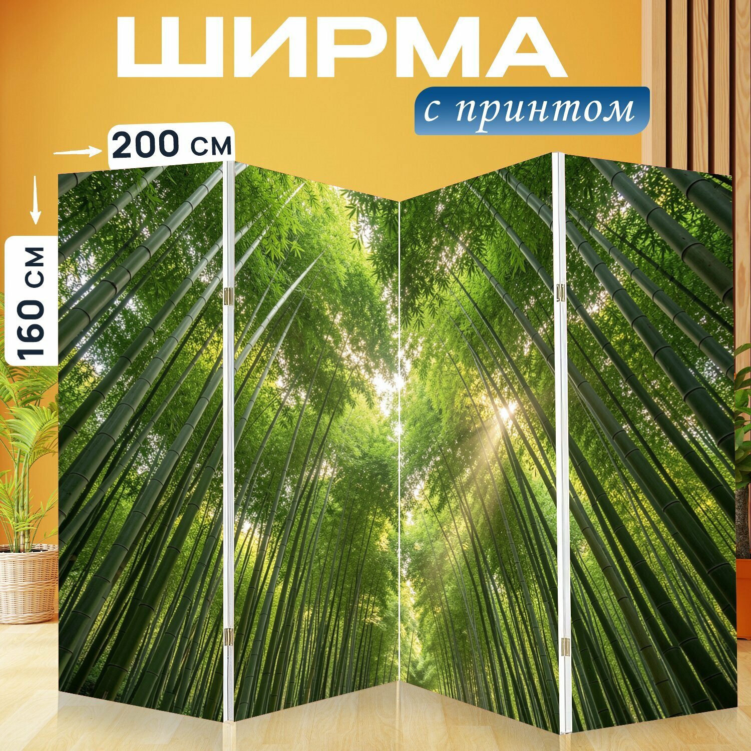 Ширма "Бамбуковая роща с солнечными лучами. Высокие стволы бамбука образуют зеленый тоннель, сквозь густую." перегородка для зонирования комнаты с принтом 200x160 см. на холсте