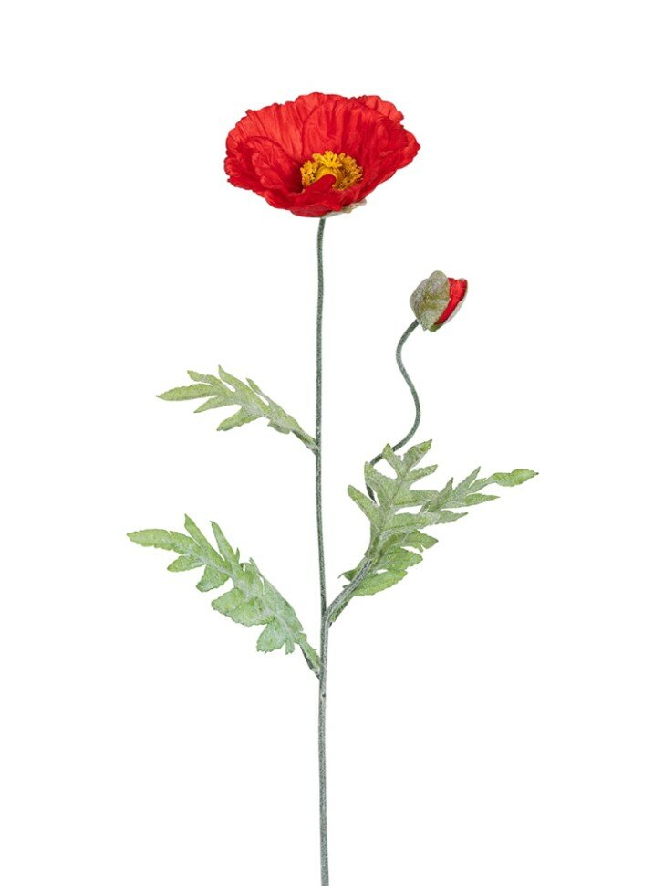 Fiebiger Floristik 204413-500 Цветок декоративный "Мак", 73 см