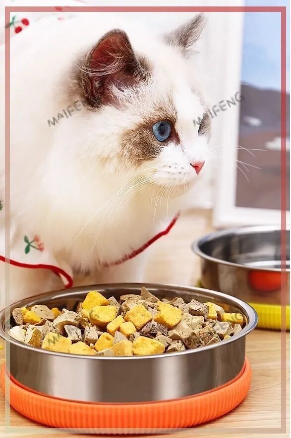 Миска для животных — фото 1