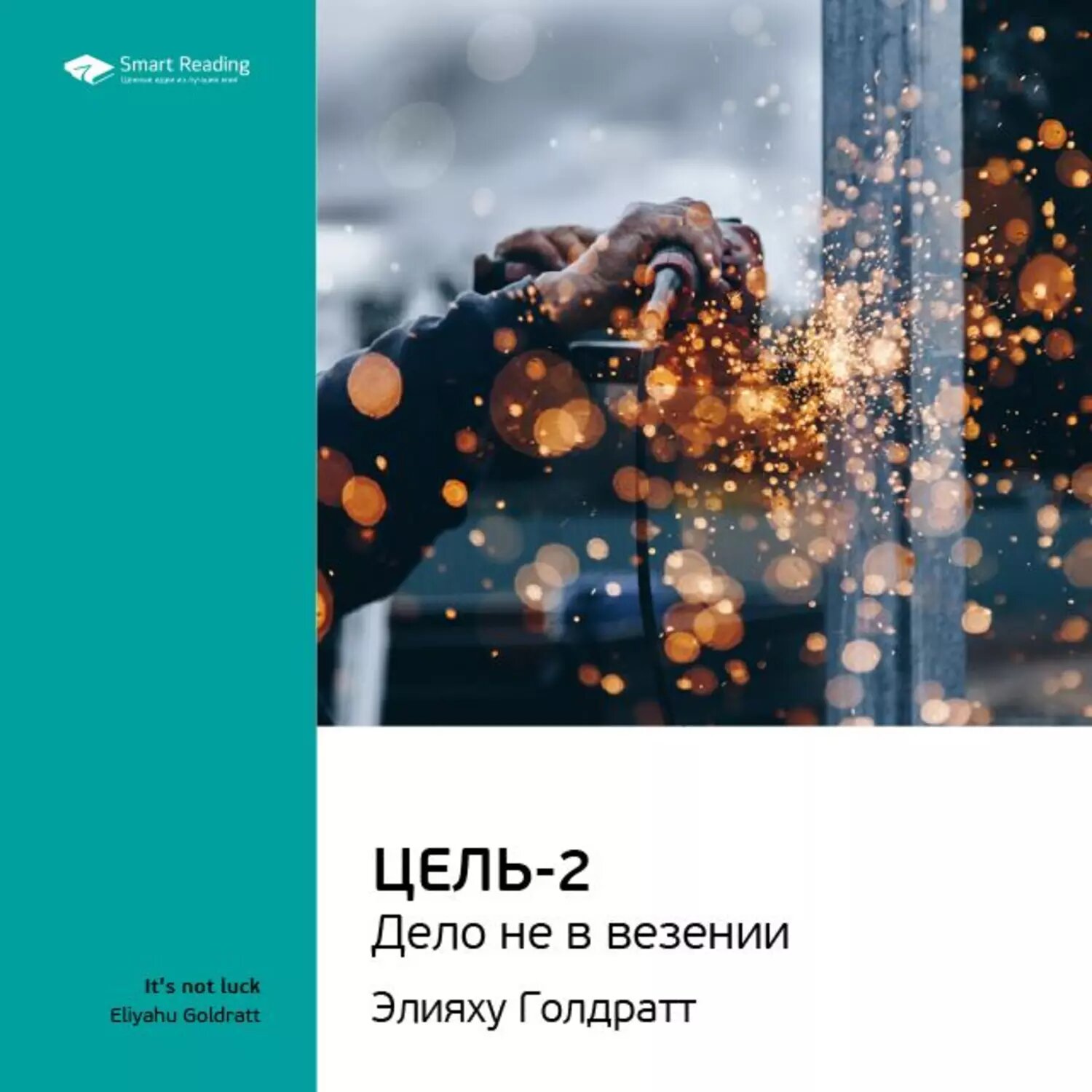 Ключевые идеи книги: Цель-2. Дело не в везении. Элияху Голдратт [Аудиокнига]
