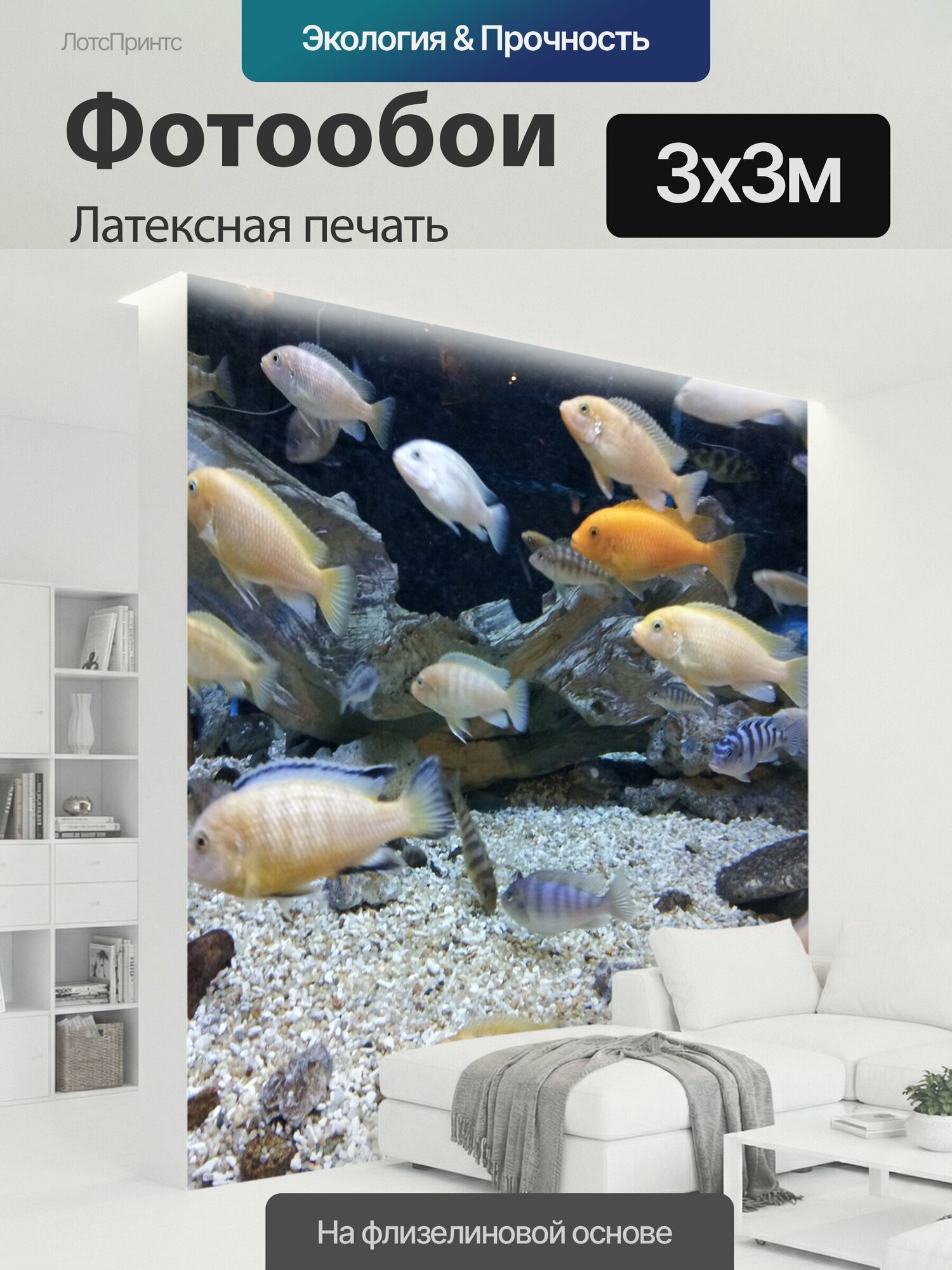 Фотообои моющиеся ударопрочные "Аквариум, рыба, декоративная рыба" 300x300 см. латексная печать