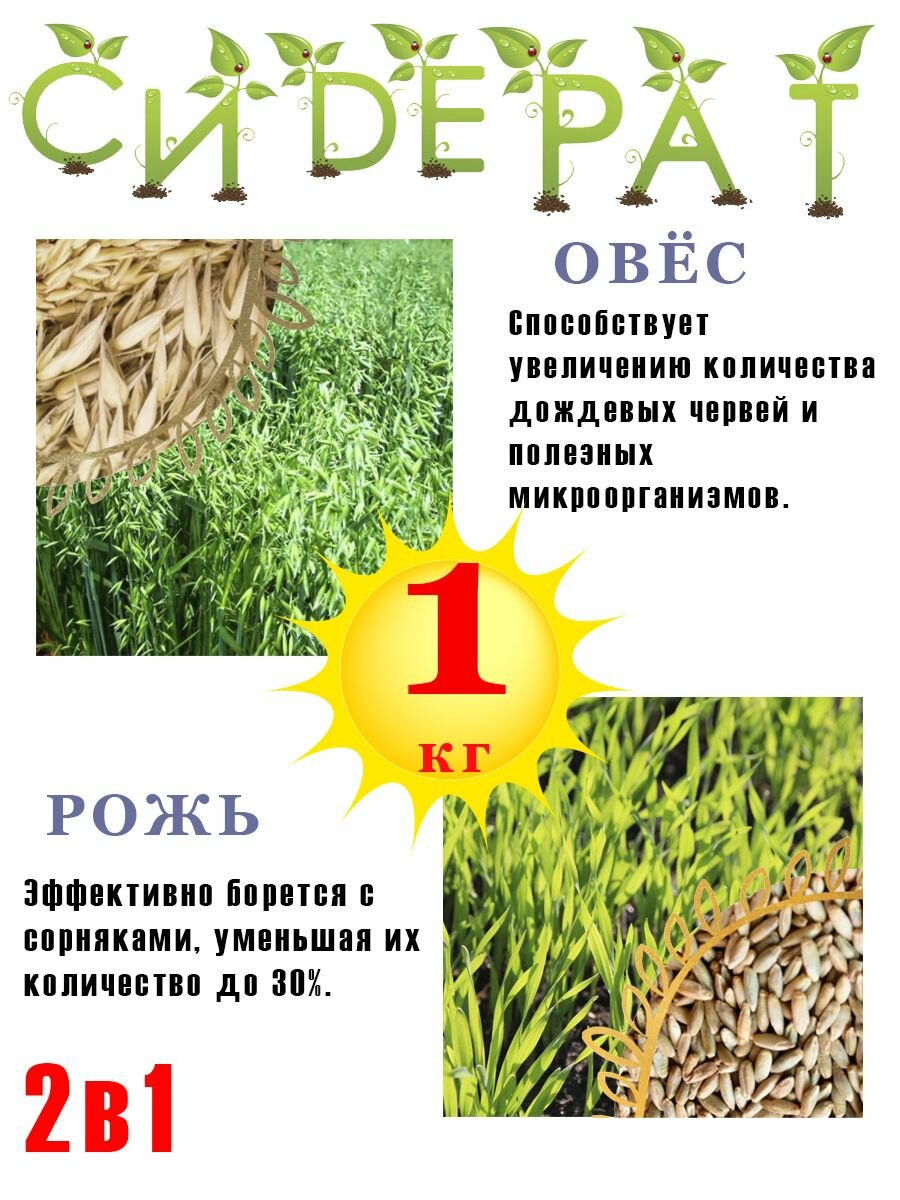 Сидерат Овес Рожь 1кг