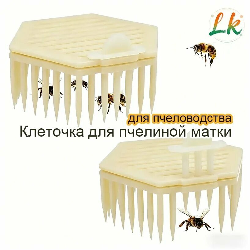 Игольчатая пластиковая клетка для королевы, эксклюзивный набор из 1 штук