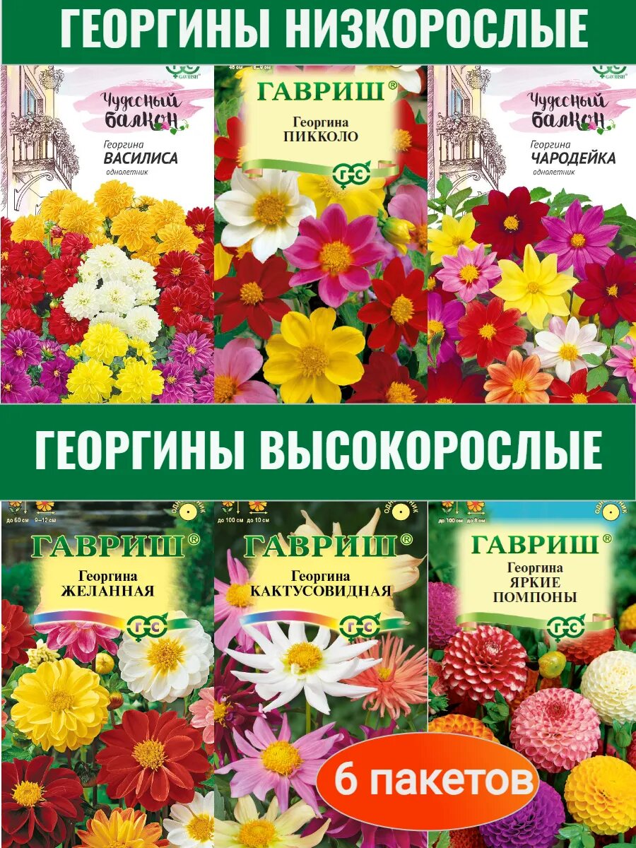 Семена георгин однолетних низкорослых высокорослых 6 пакетов
