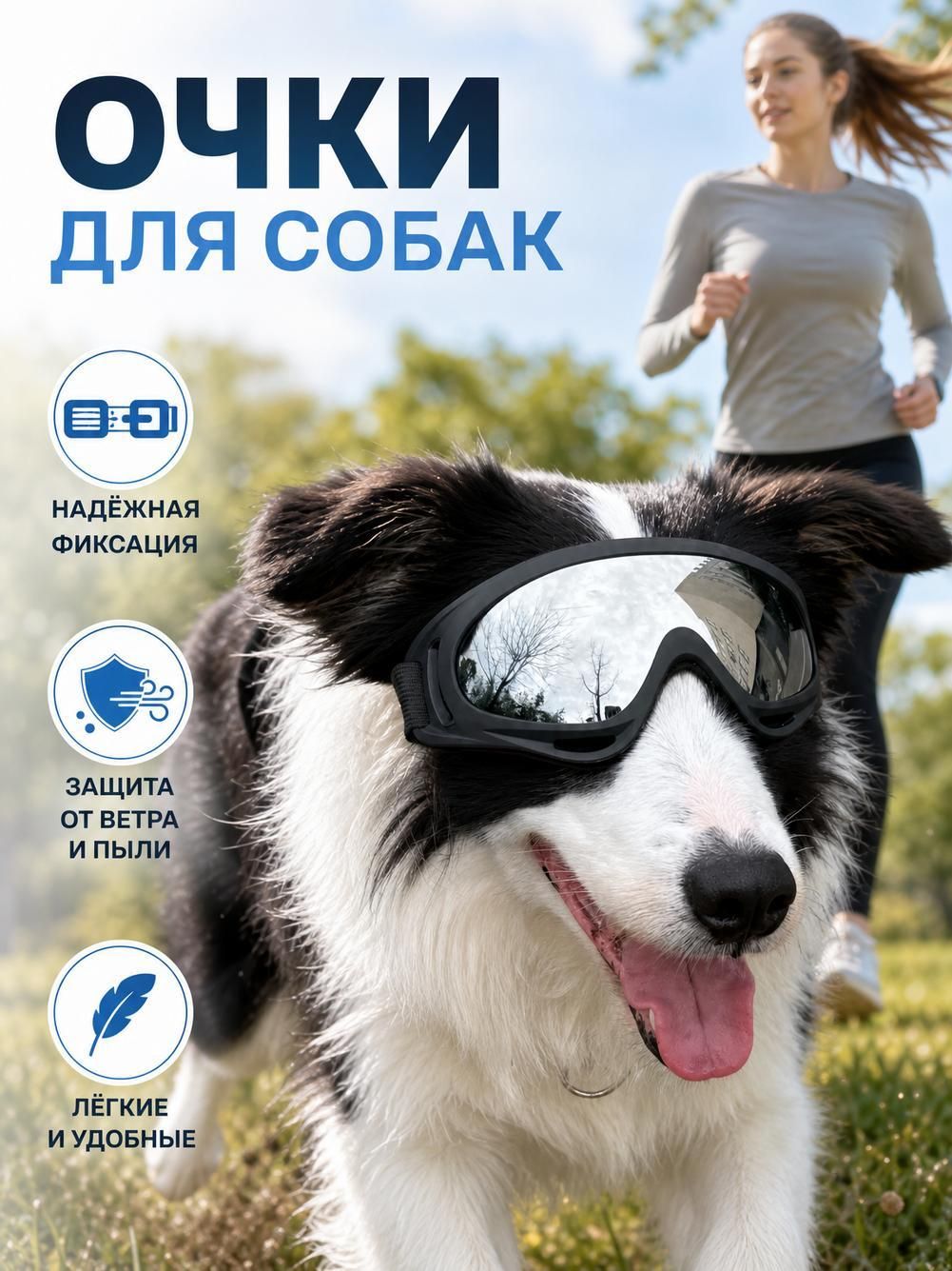 Очки для домашних собак