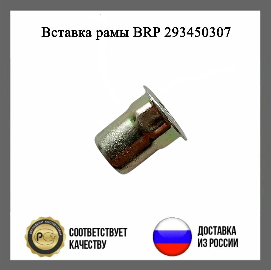 Вставка рамы BRP 293450307