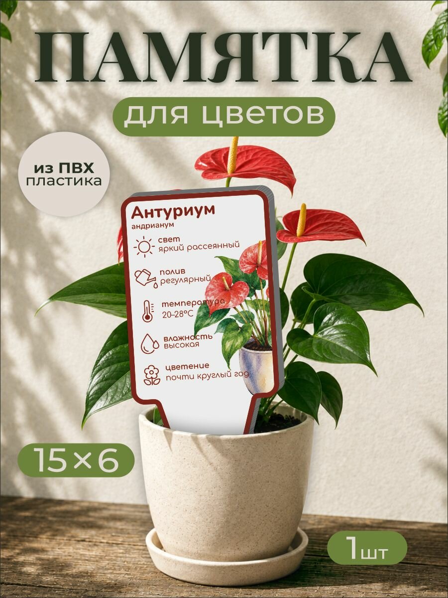 Фигурки для сада Антуриум