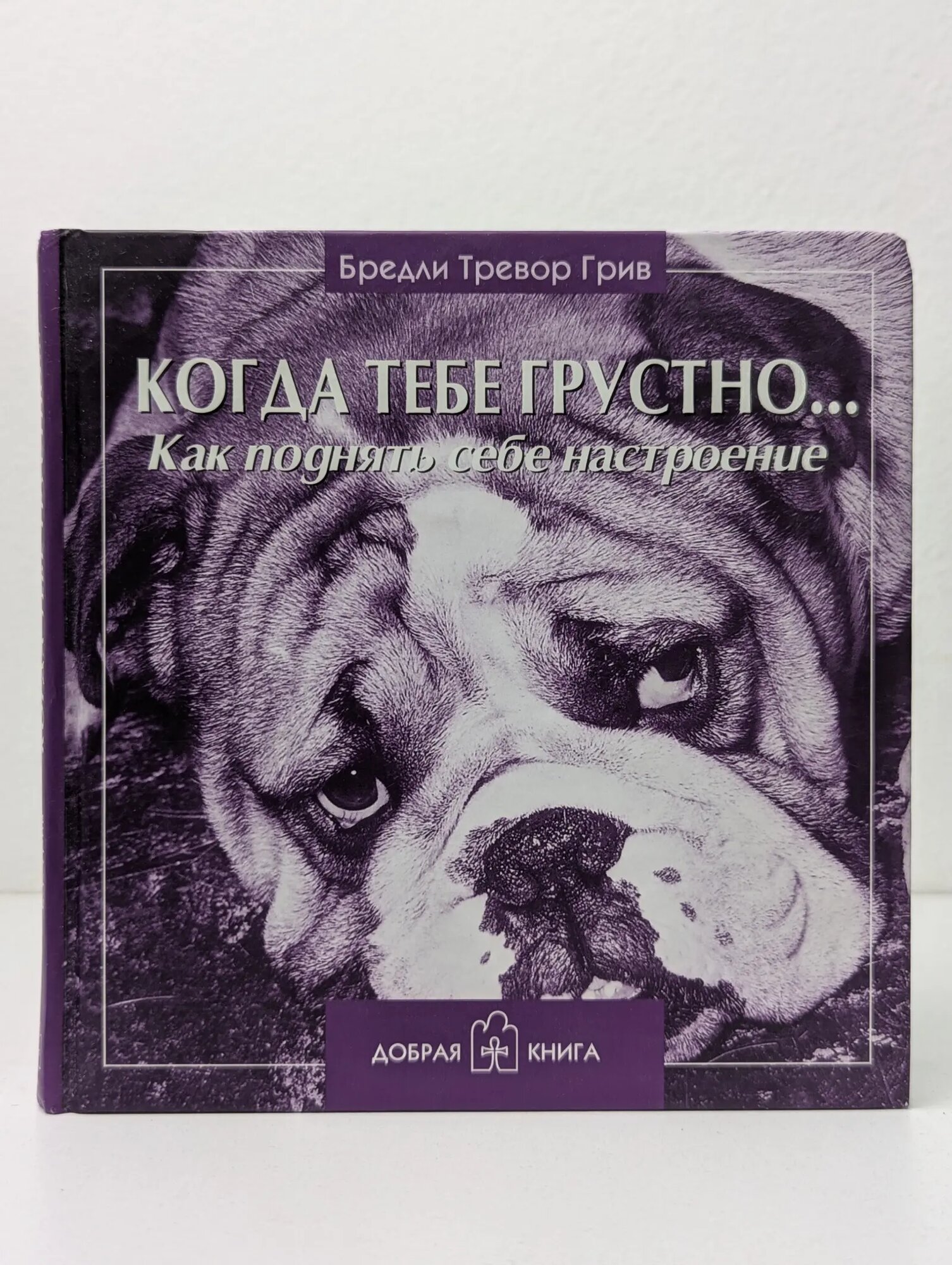 Когда тебе грустно. Как поднять себе настроение Грив Бредли Тревор 2004