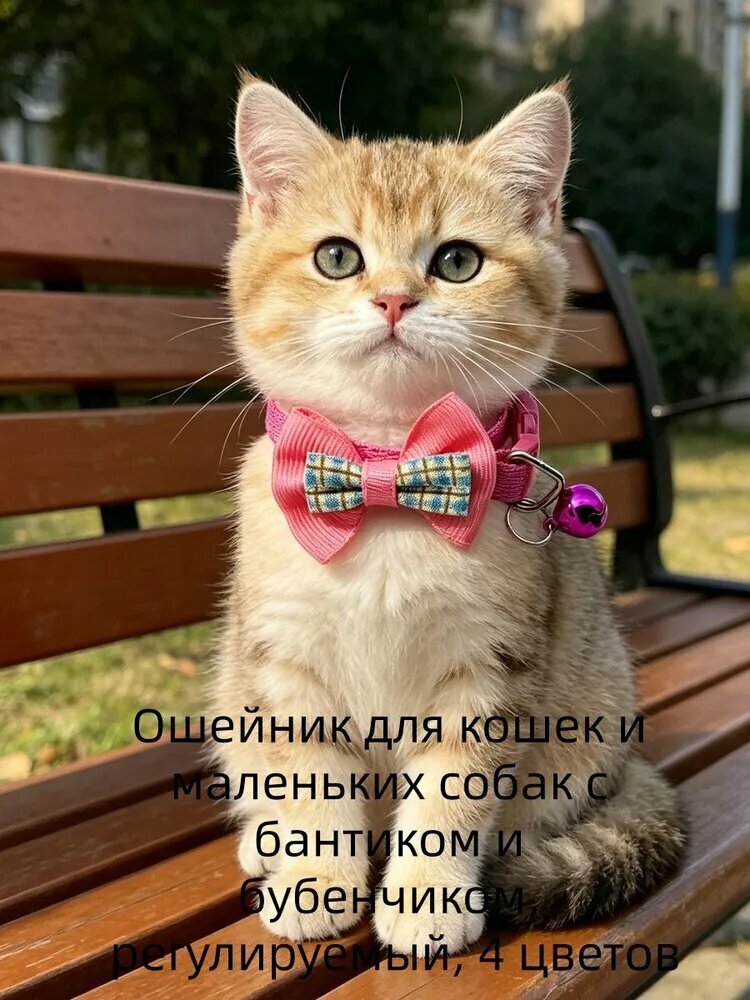 Ошейник для кошек и маленьких собак с бантиком и бубенчиком, регулируемый, 4 цветов