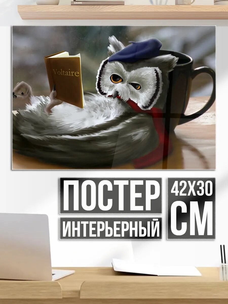 Плакат постер Сова Читает Книгу