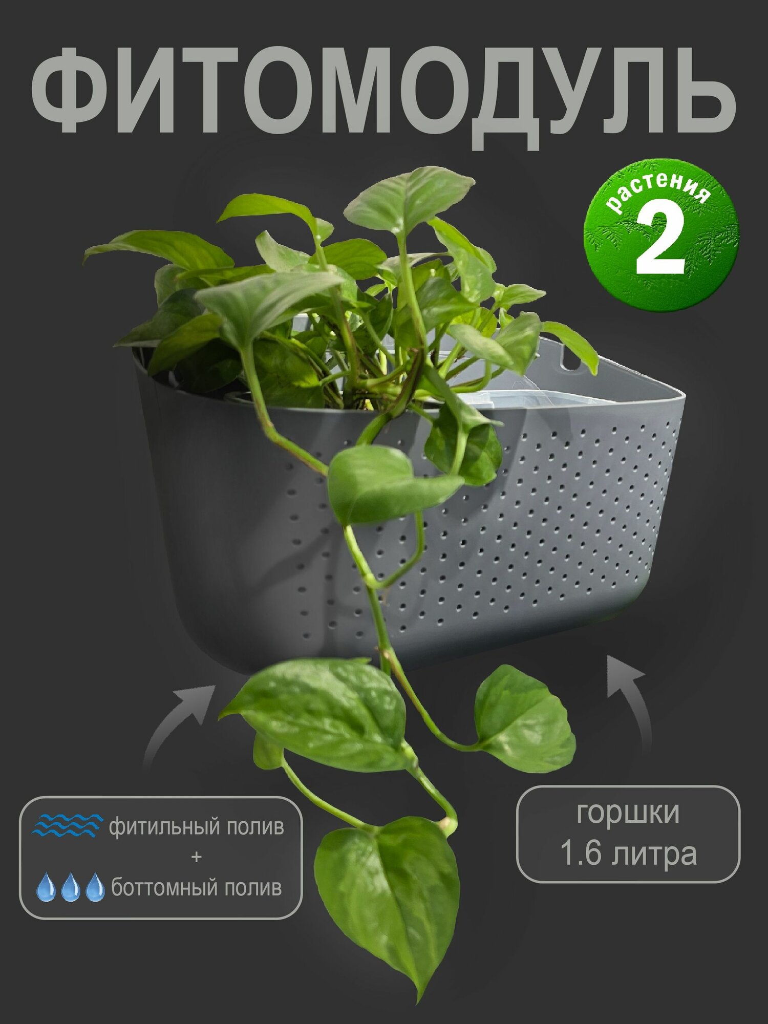 Фитомодуль BOXSAND-2 (34х18 см) серый с горшками 1,6 литра