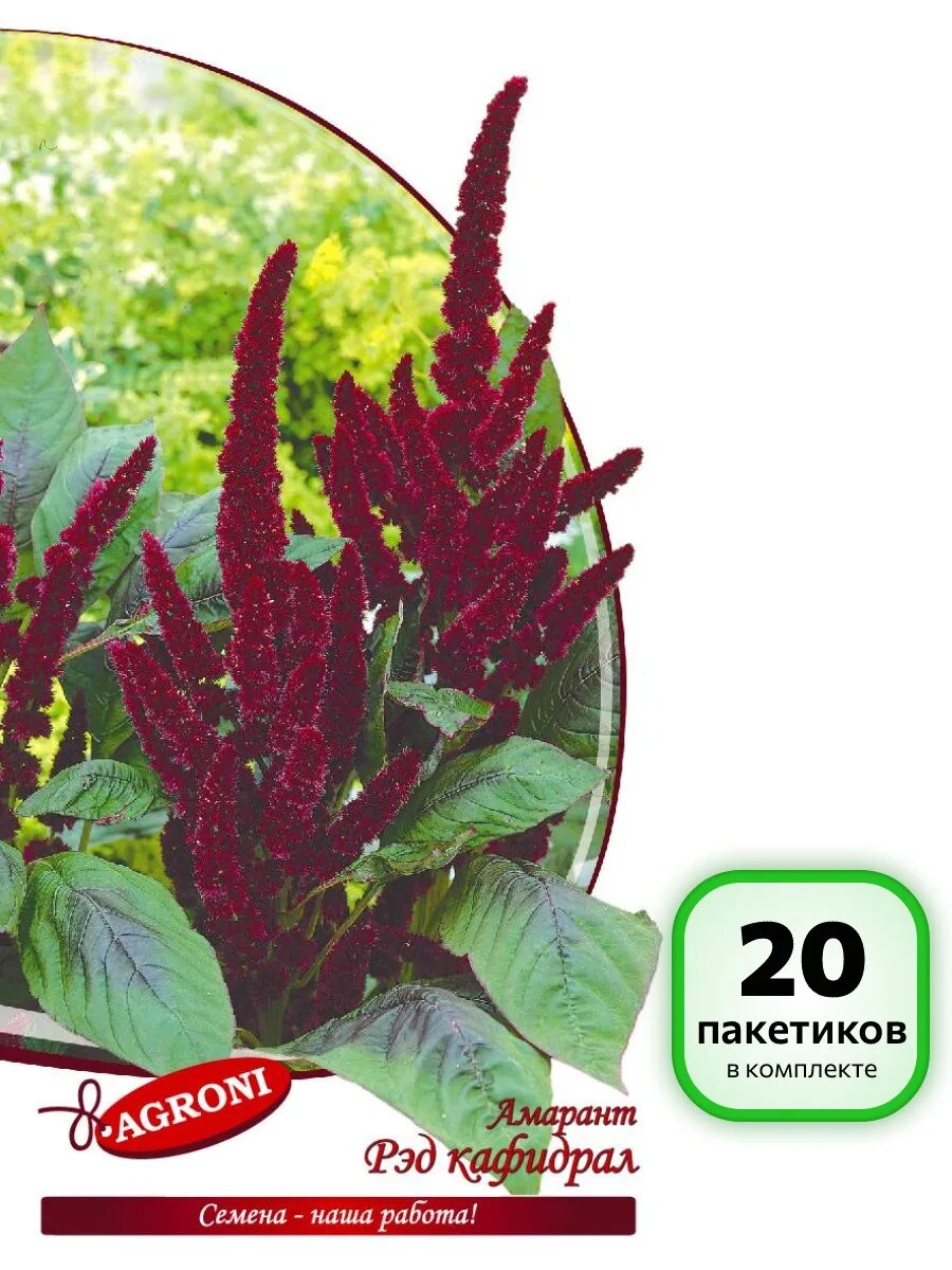 (20 шт.) - Семена Амарант Рэд Кафидрэл(0,1г)
