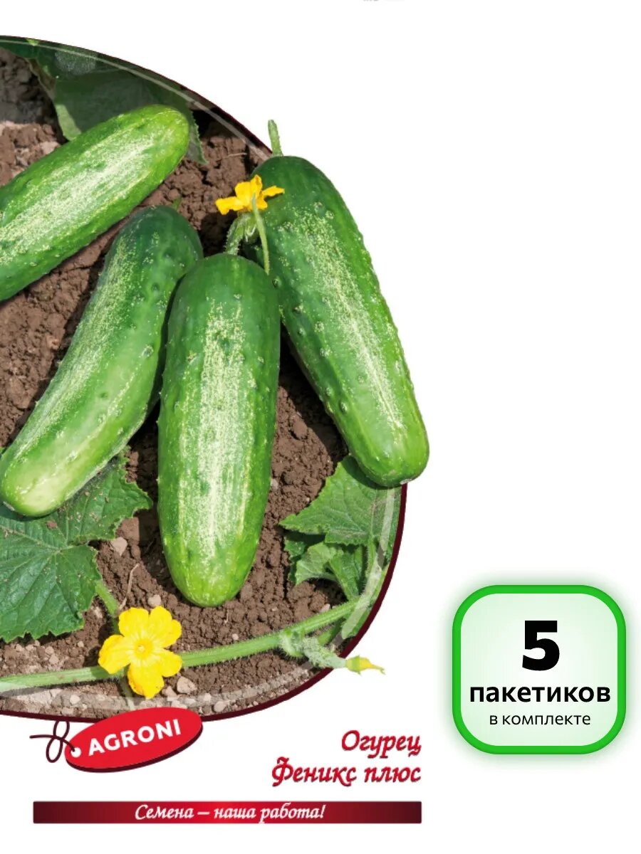 (5 шт.) - Семена Огурец Феникс плюс (0,5г)