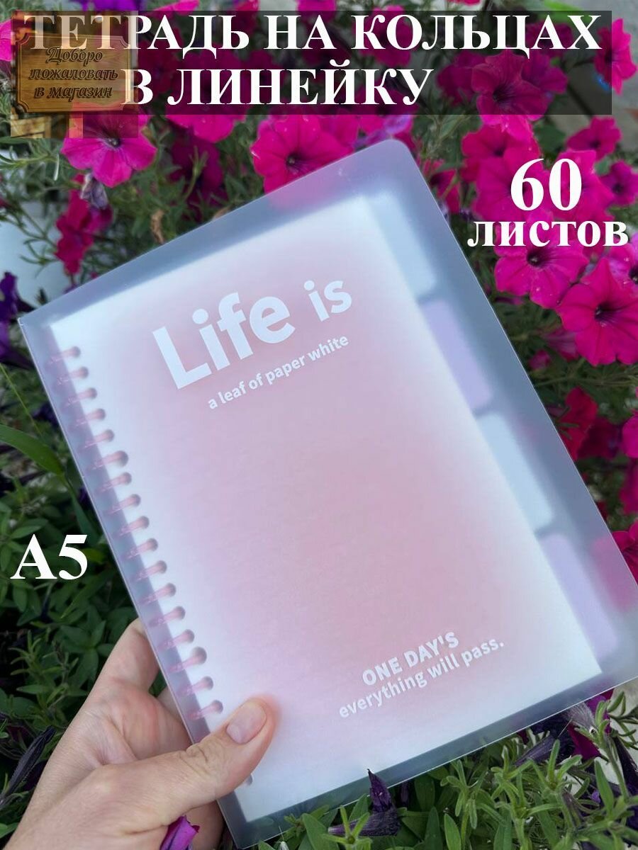 Maxynixy Тетрадь со сменным блоком A5, листов: 60