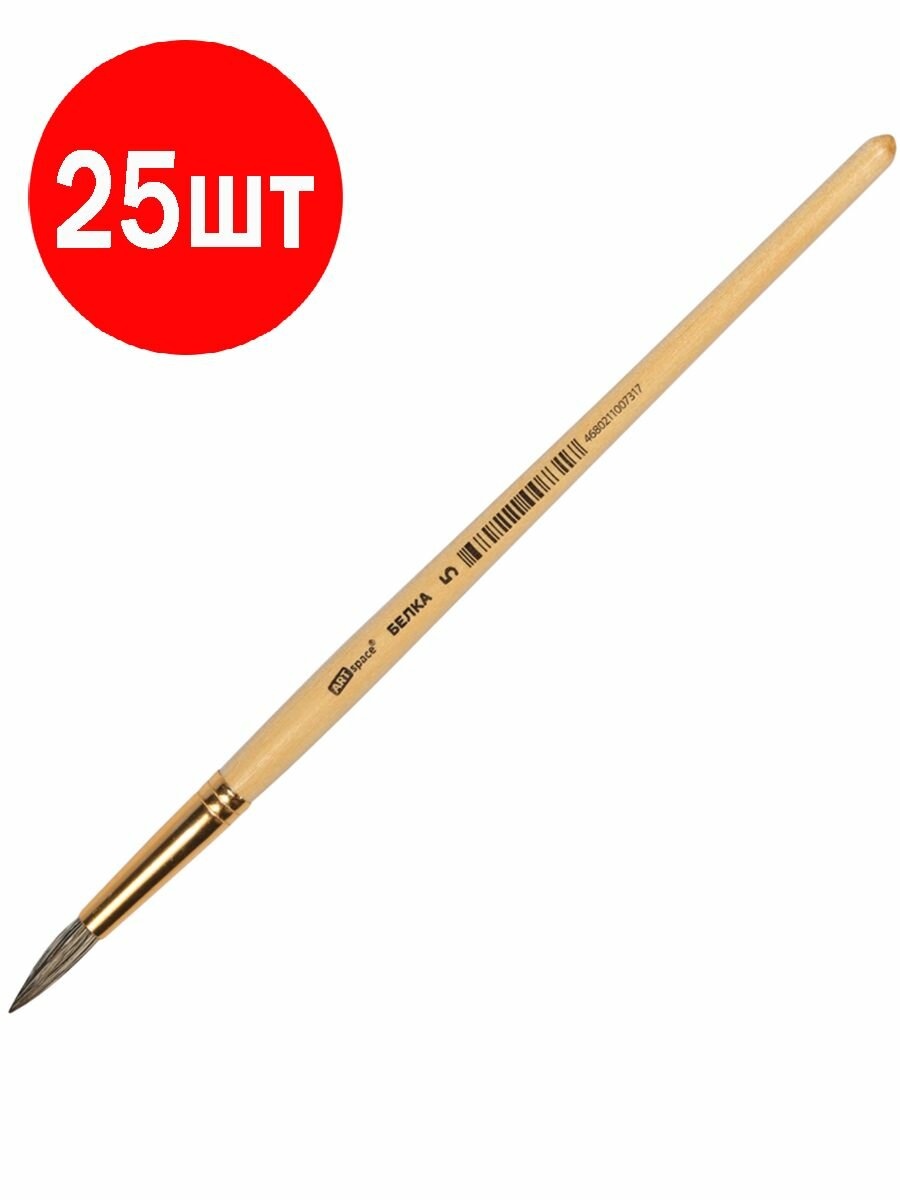 Набор художественных кистей ArtSpace "Белка", №5, круглые, 25 шт, бежевые